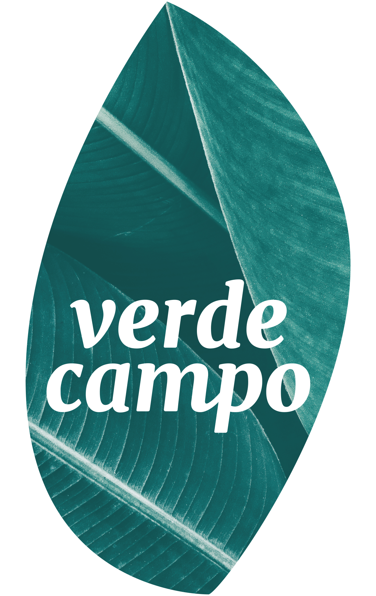 B2B Information Technology Sales | CloudBurst Direct